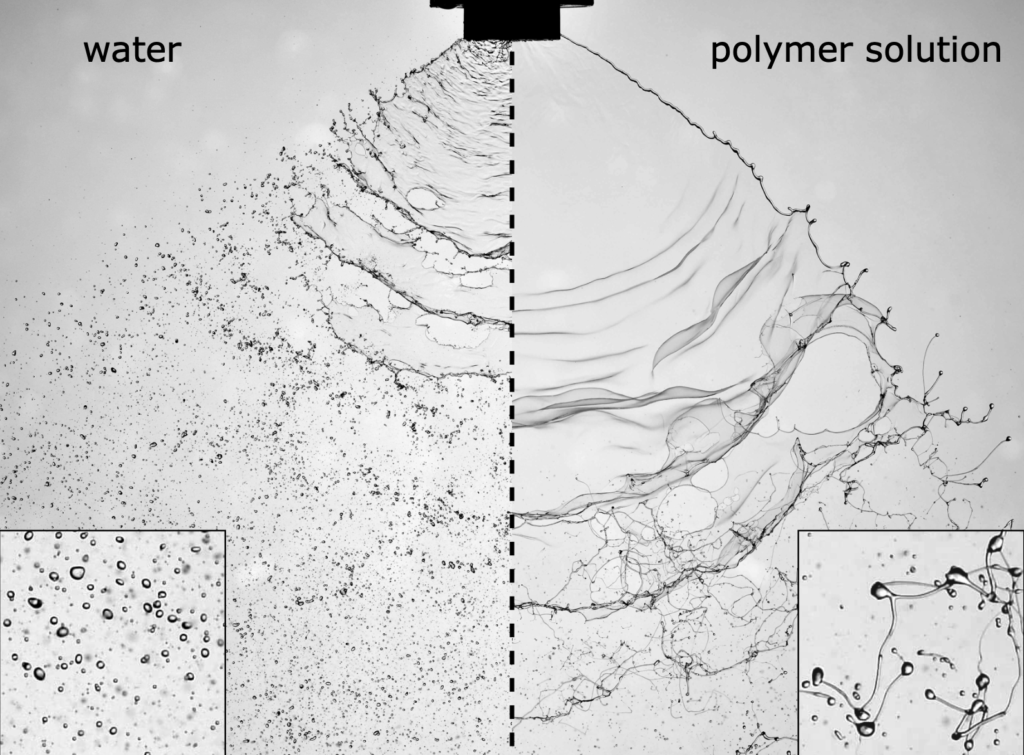 Complex Fluids – Soft Matter Group
